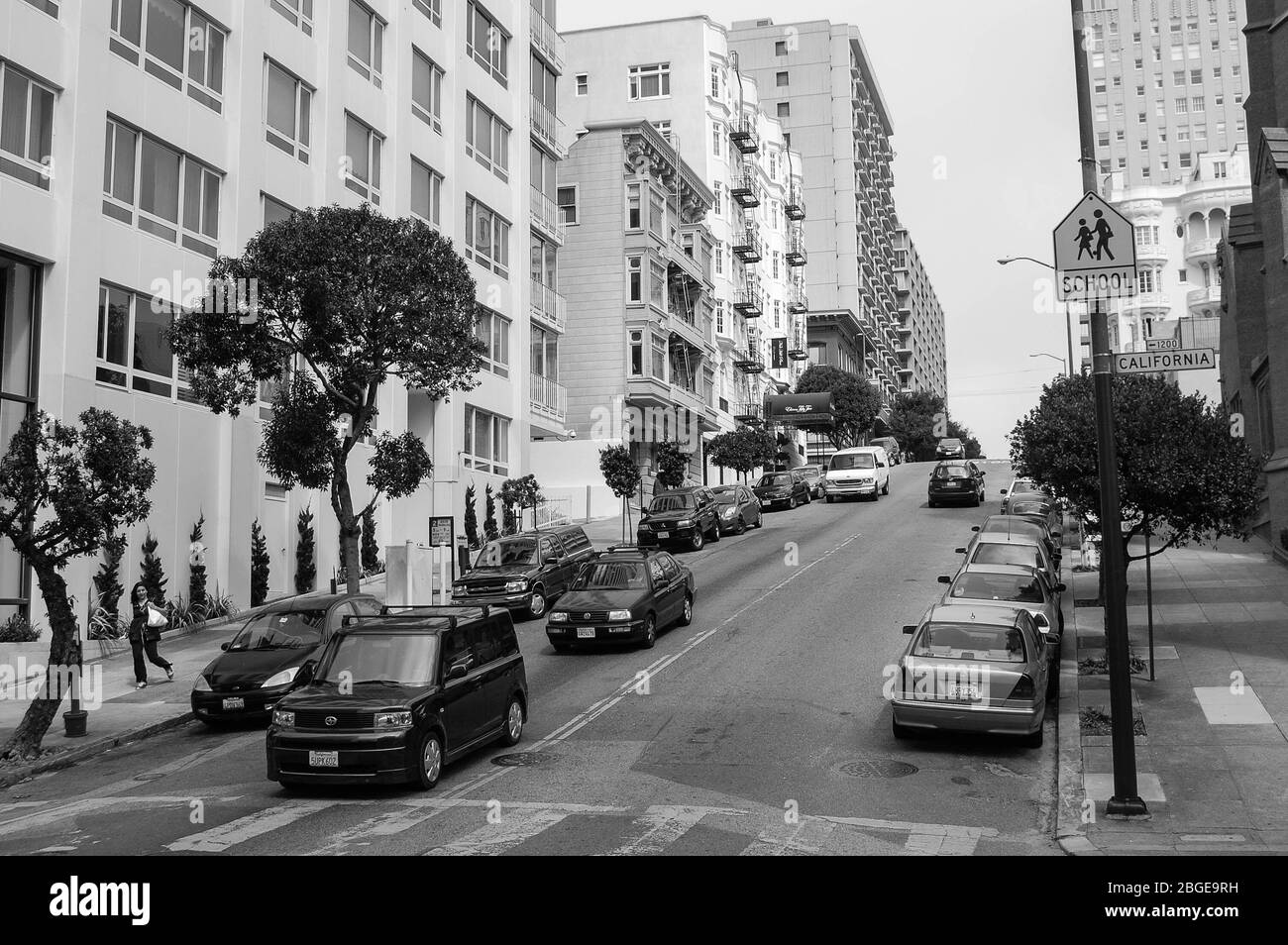 San Francisco street tree trees car cars van sign school sign children ...