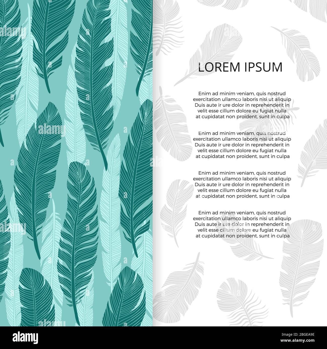 Bird feathers banner or poster design - brochure template with hand ...