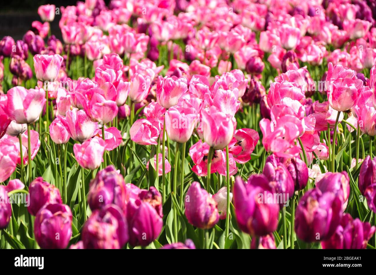 Sculpture baby in vigeland sculpture hi-res stock photography and ...
