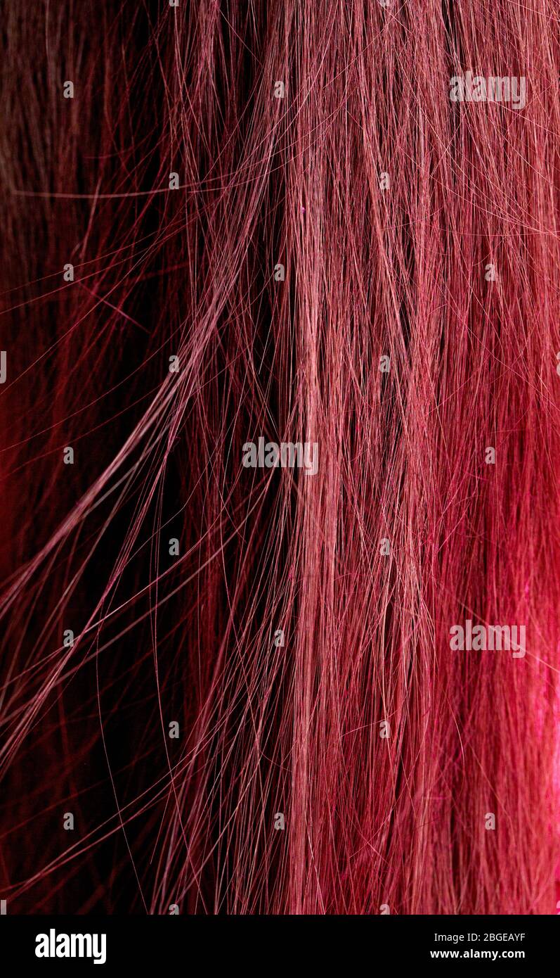 Strands of hair dyed with Multi-colored temporary chalk for hair ...