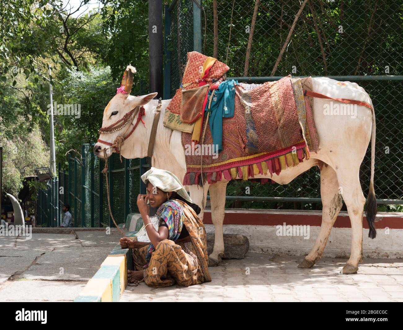 Woman with bull horn hi-res stock photography and images - Alamy