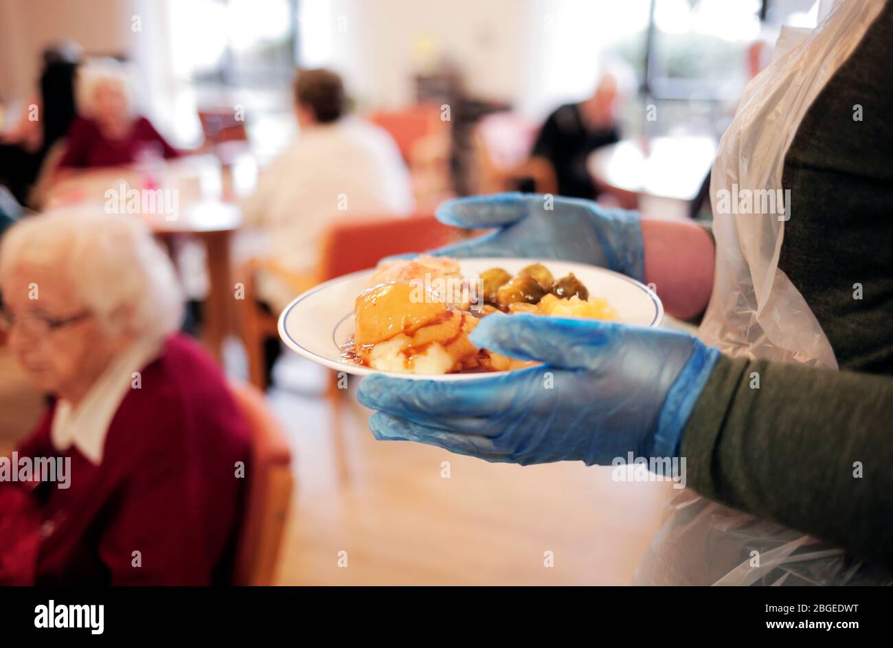 Carer helping elderly food hi-res stock photography and images - Alamy