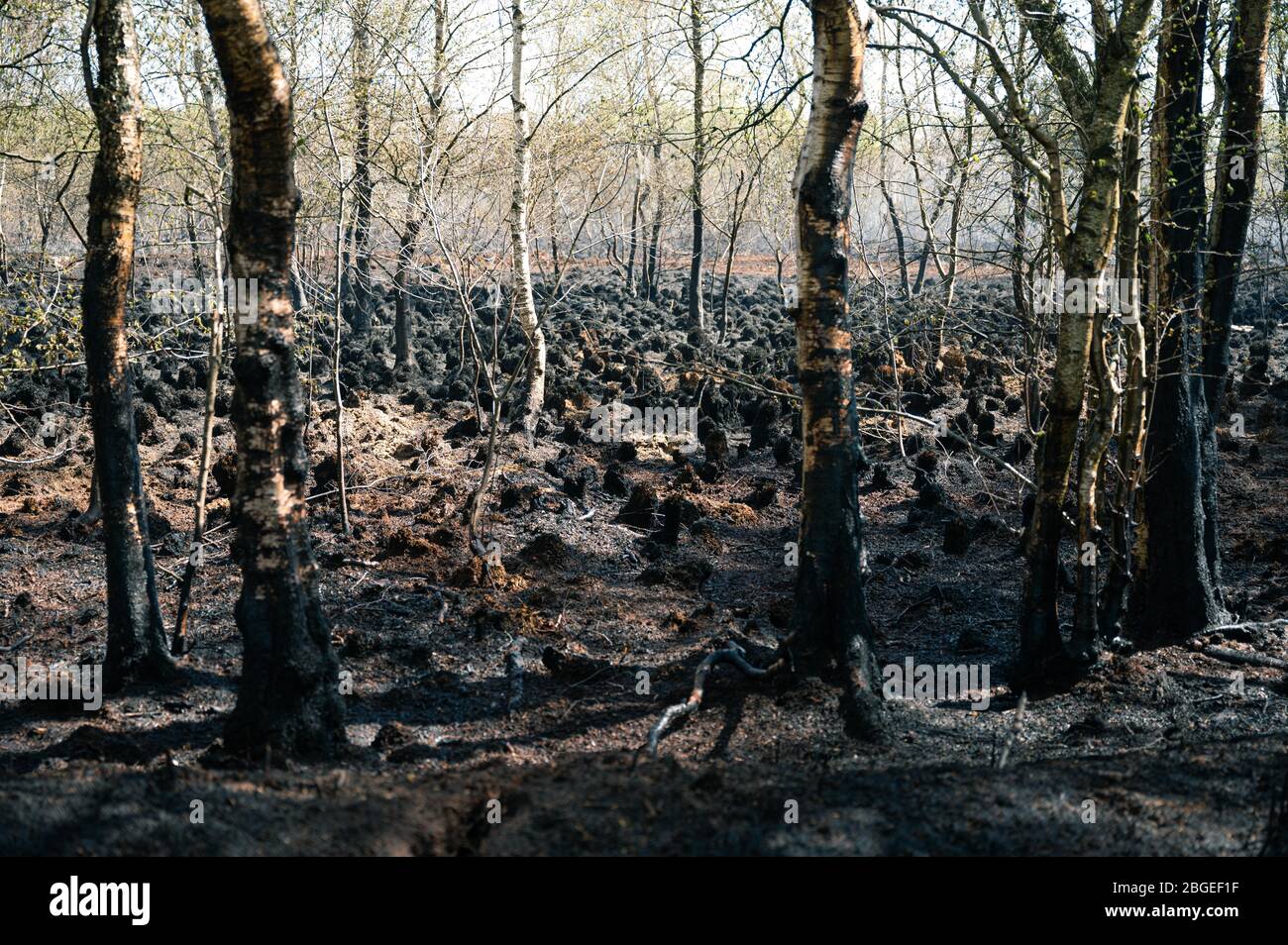 Bog fires hi-res stock photography and images - Alamy