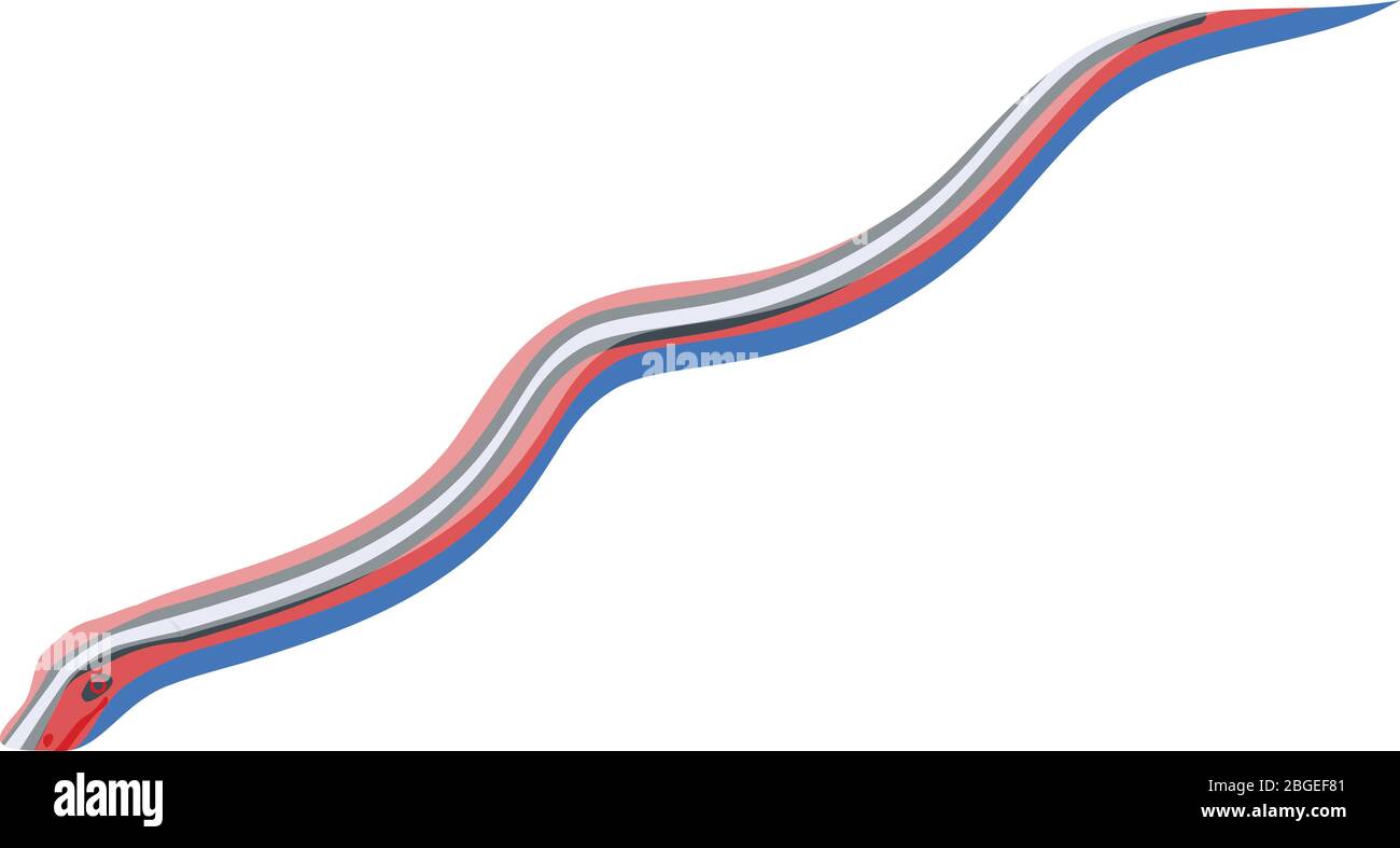 Exotic snake icon, isometric style Stock Vector Image & Art - Alamy