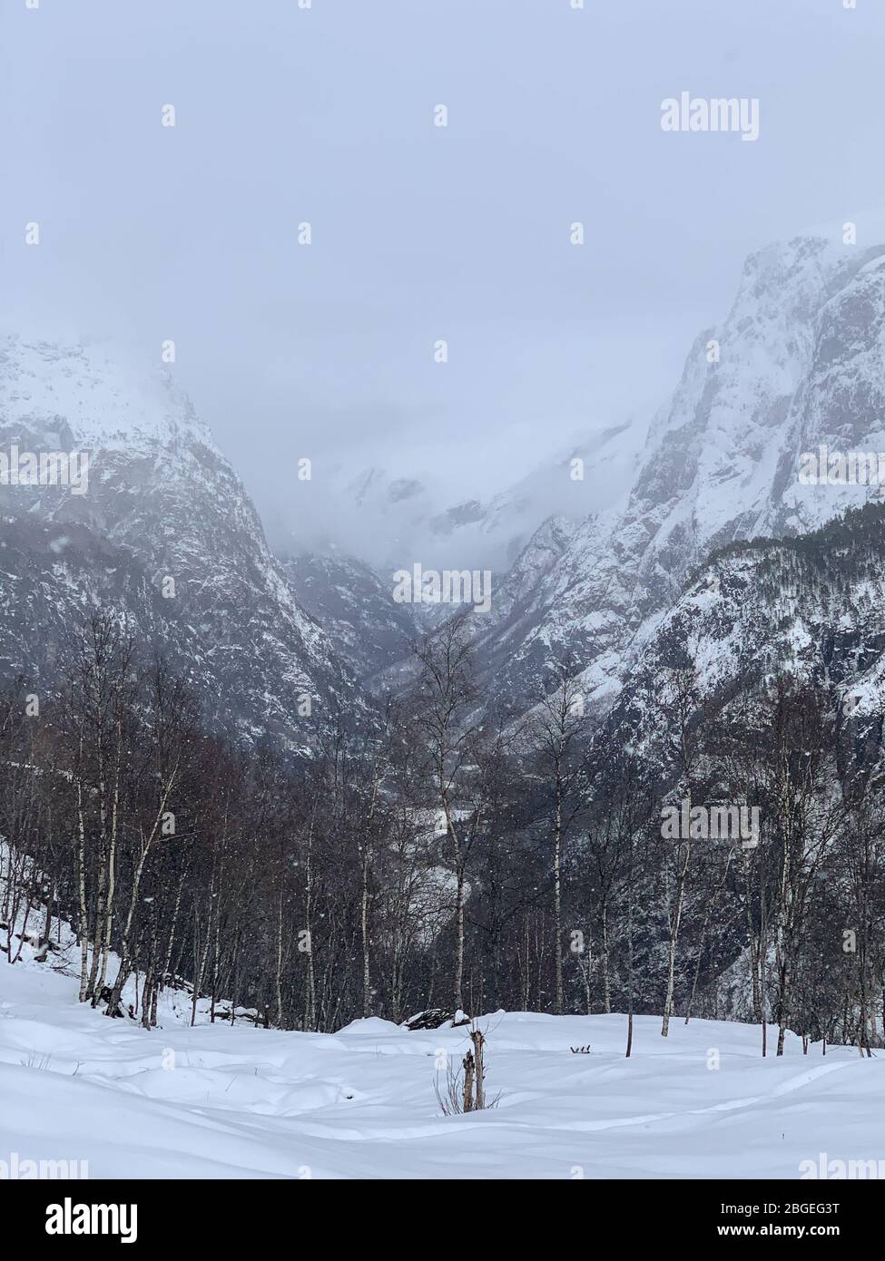 Snowy hills and forest in Norway Stock Photo - Alamy