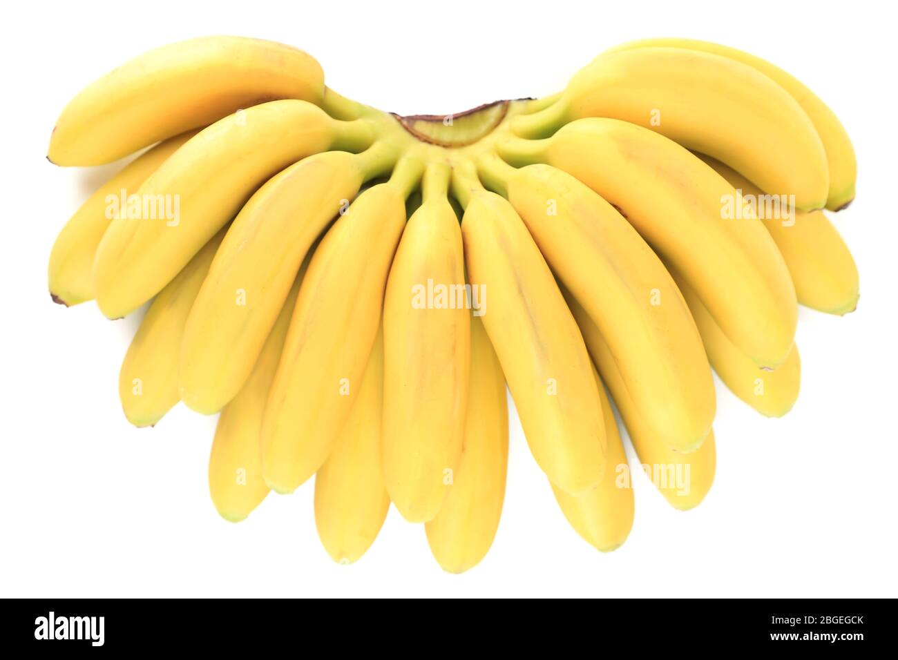 Bunch of mini bananas isolated on white Stock Photo - Alamy