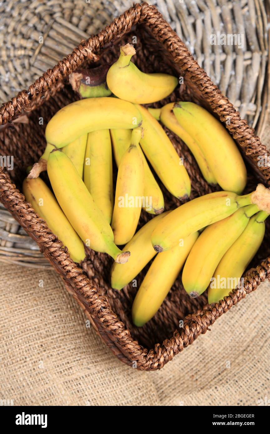 Bunch of mini bananas in wicker box on sackcloth background Stock Photo ...
