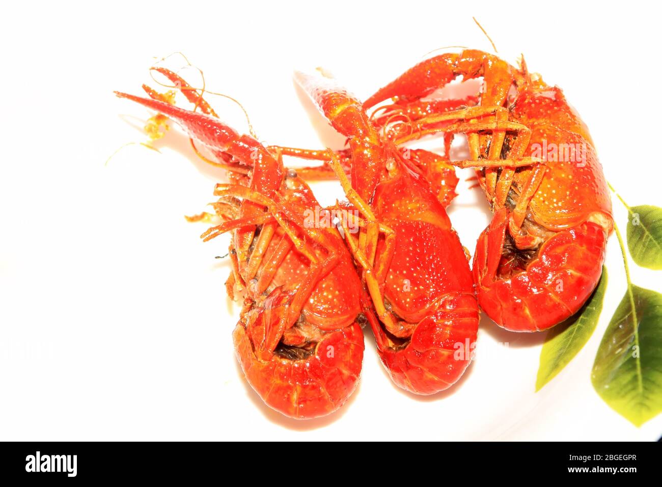 Cooked crayfish on a plate hi-res stock photography and images - Alamy