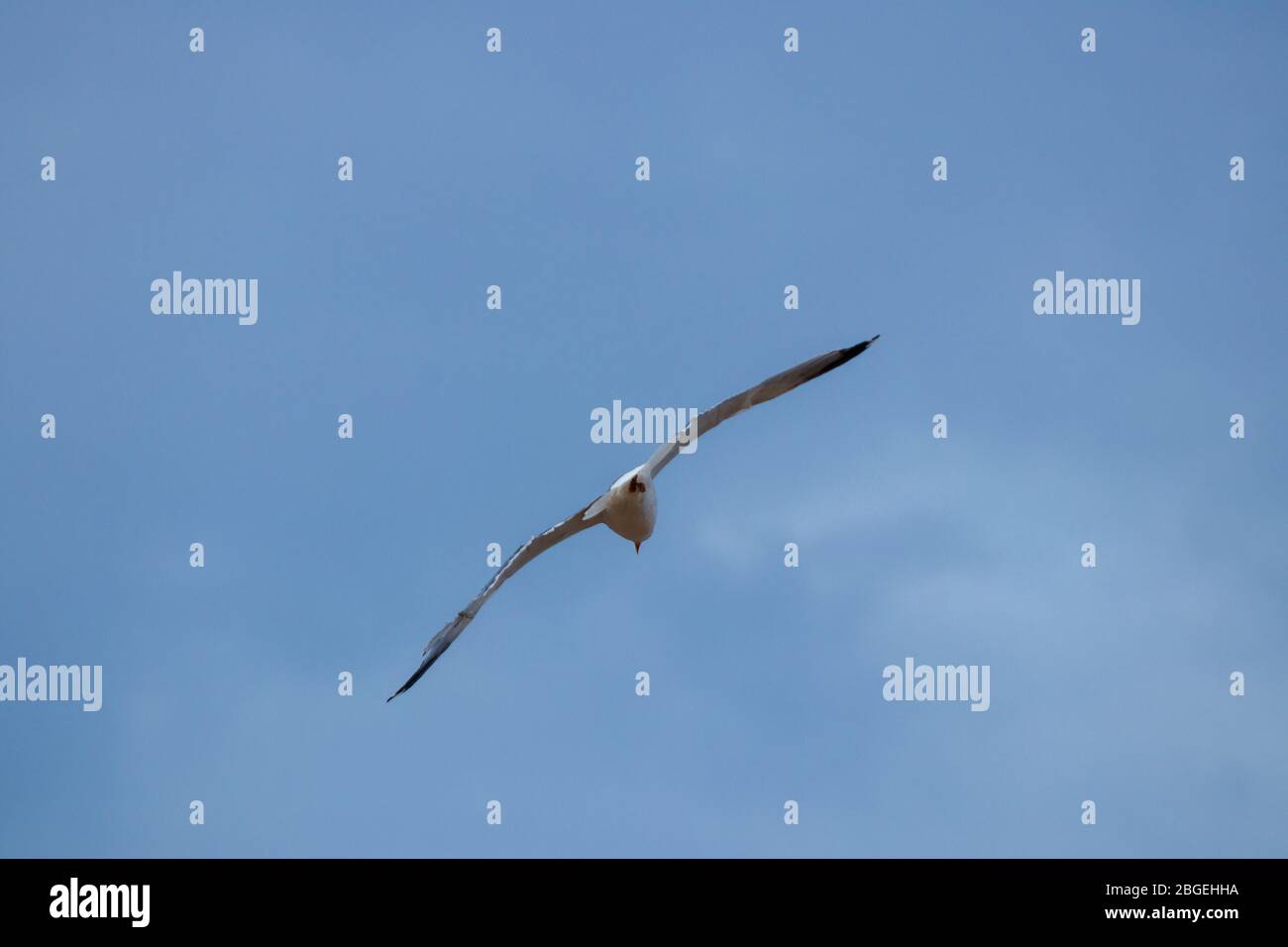 Sea sweep hi-res stock photography and images - Alamy