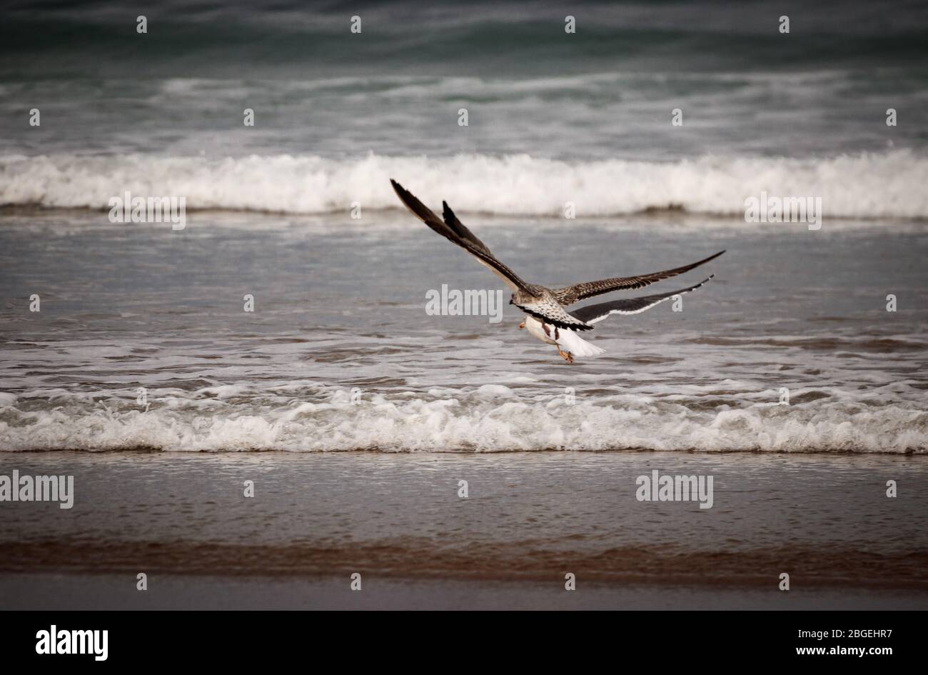 Sea sweep hi-res stock photography and images - Alamy