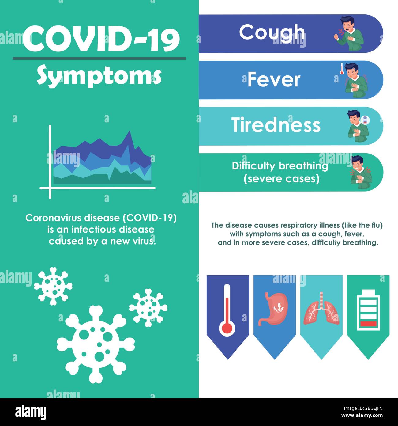 Infographic Y