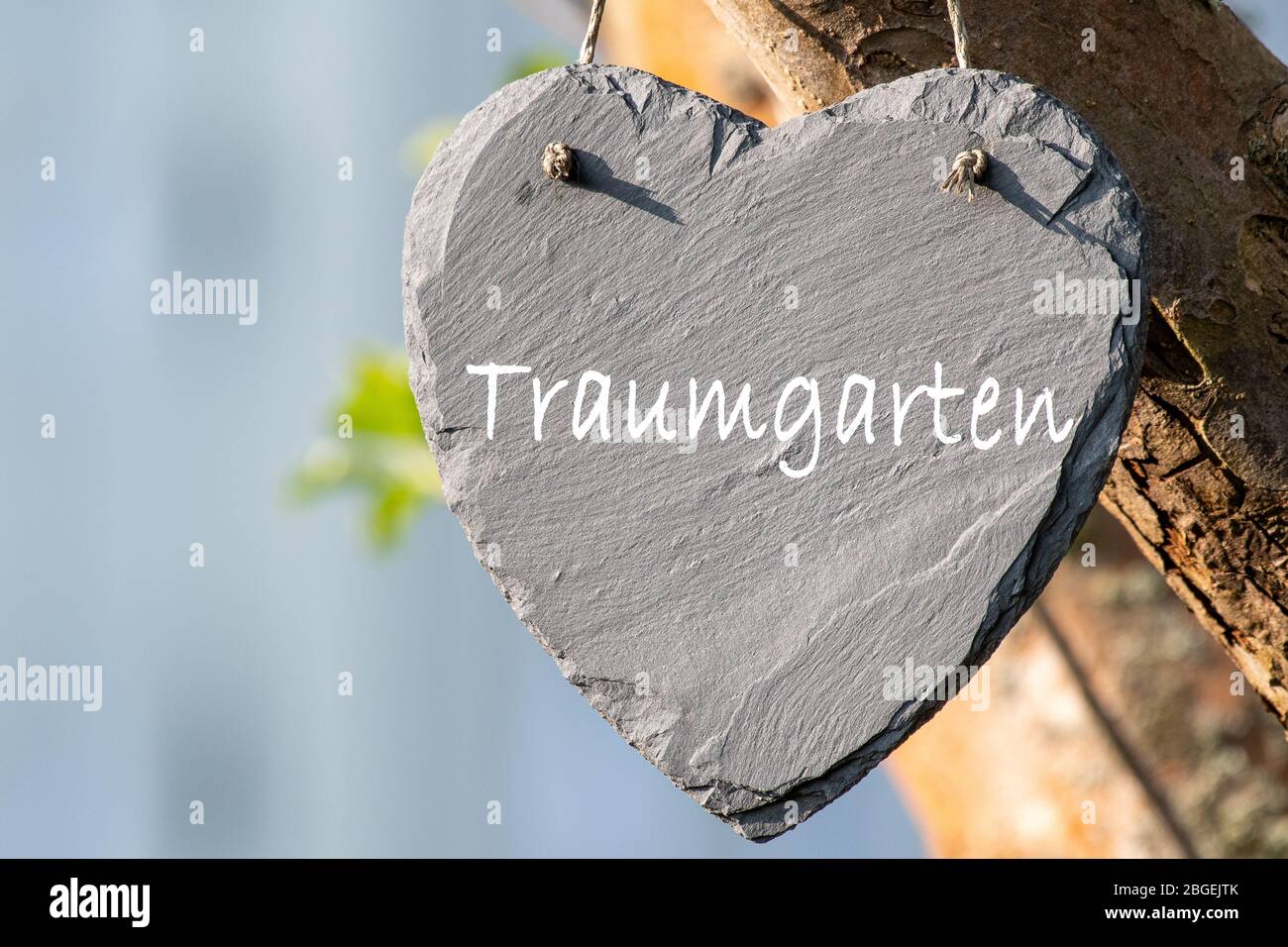 Heart symbol in front of tree on sign Stock Photo - Alamy