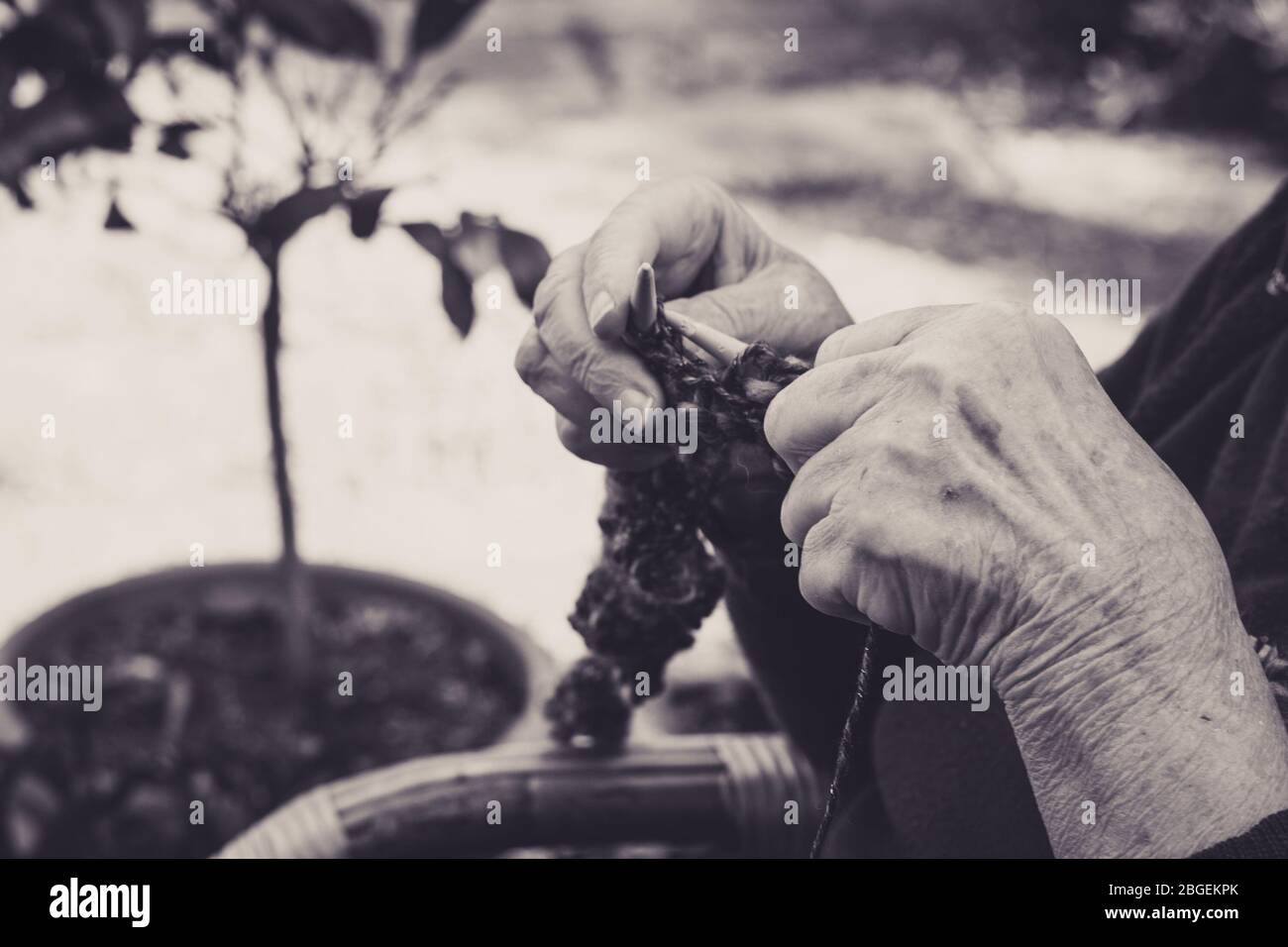 Old lady hands hi-res stock photography and images - Alamy