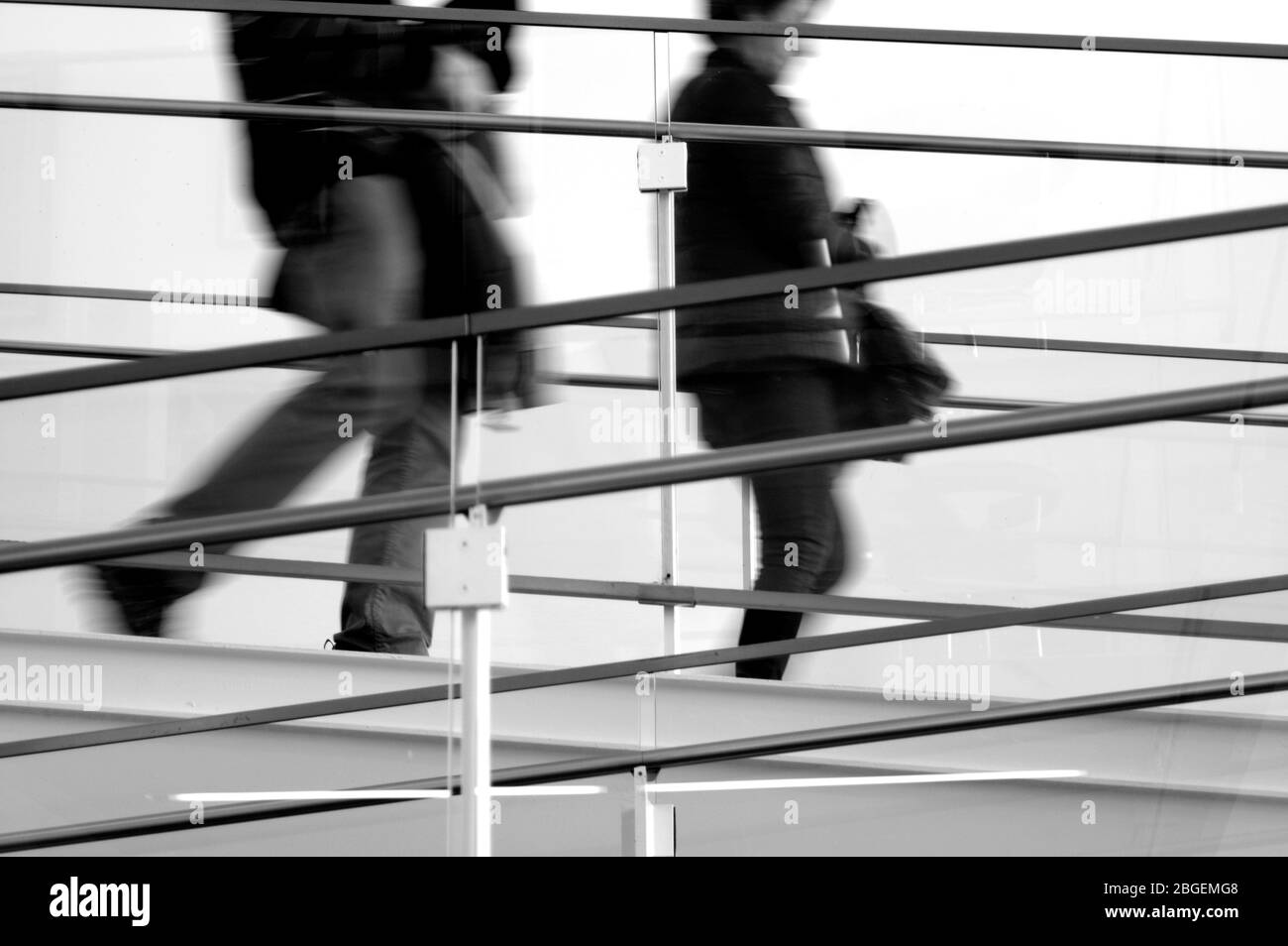 Stainless steel, glass and wood railing.Fall Protection. modern design ...