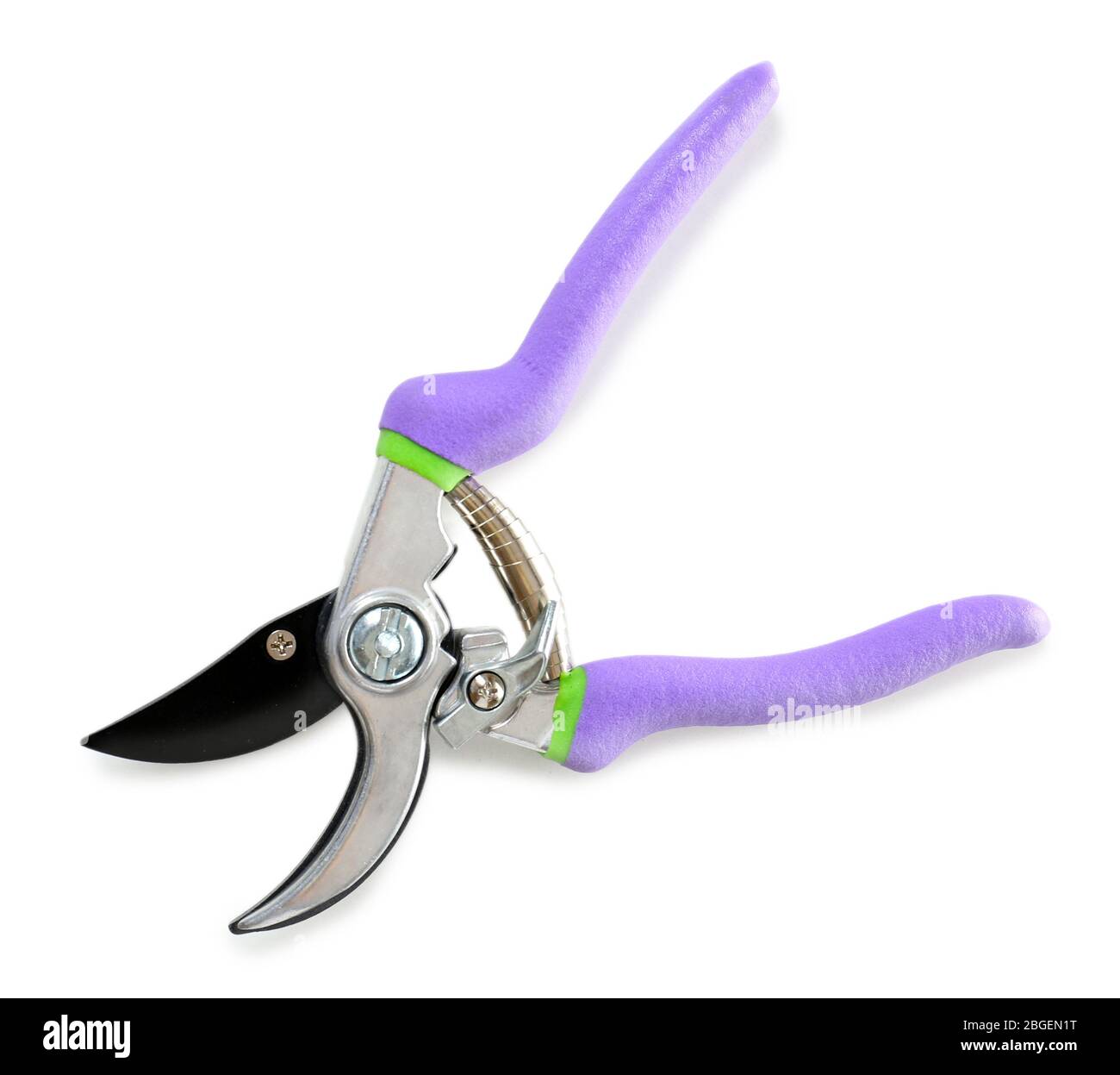 Pruner isolated on white Stock Photo - Alamy