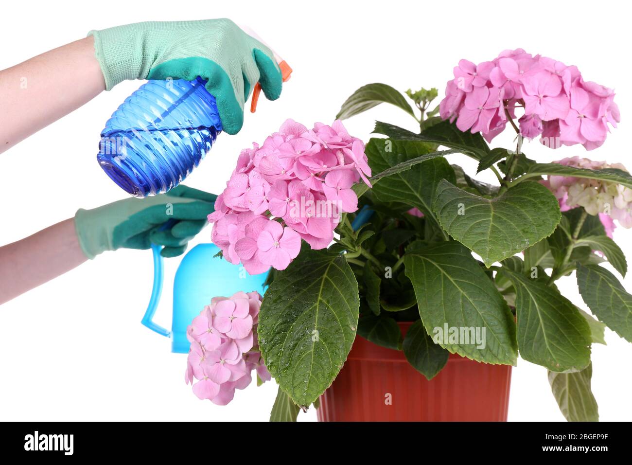 Caring process hi-res stock photography and images - Alamy