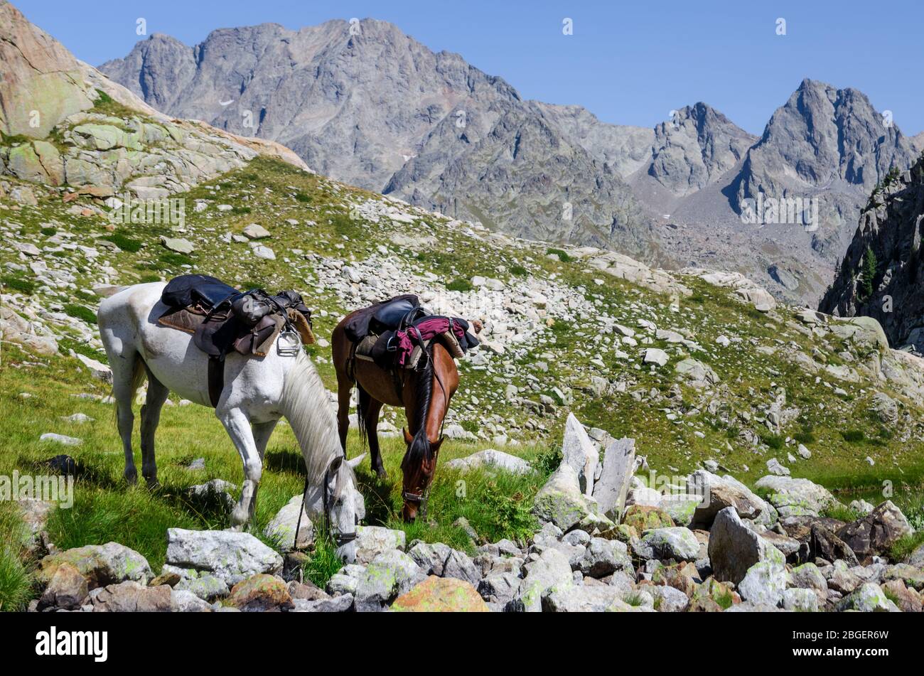 eco-friendly active tourism tour with horses in the mountains of ...