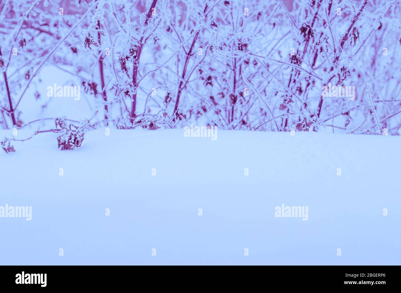 Frosty cold winter countryside landscape hi-res stock photography and ...