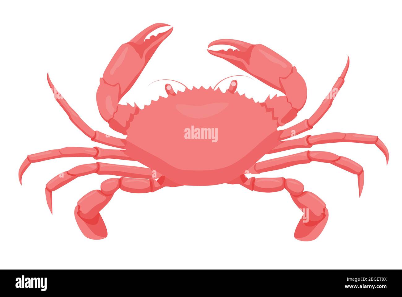 Crustaceans Characteristics