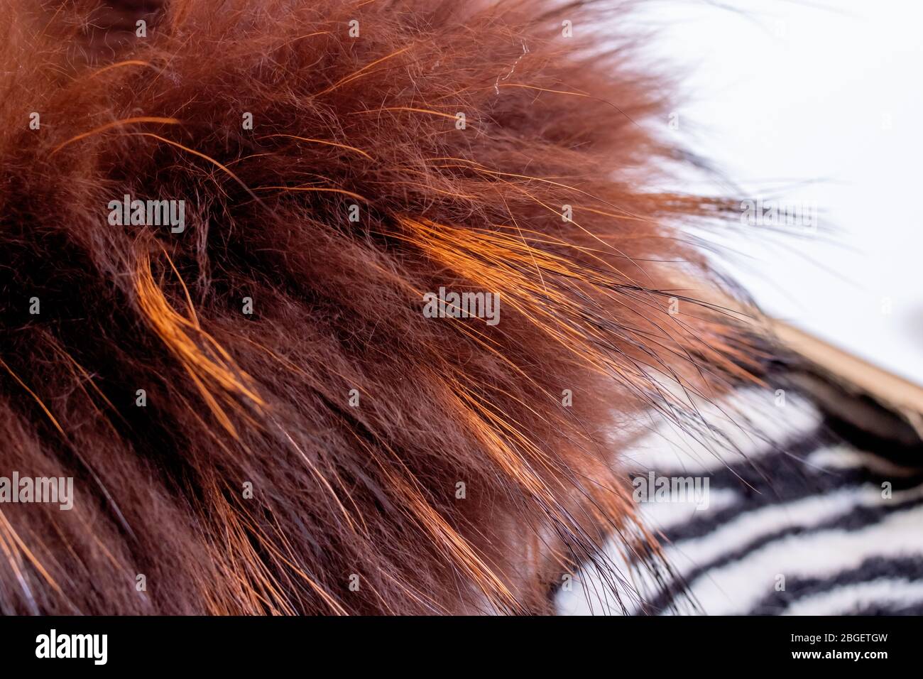 Fur clothing hi-res stock photography and images - Alamy