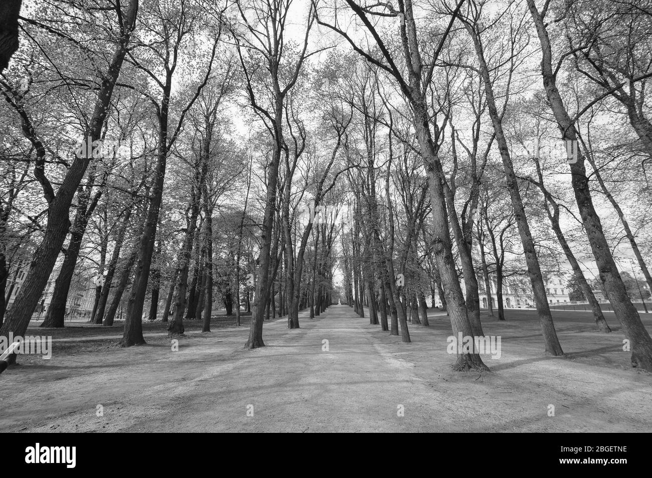 Royal palace of norway Black and White Stock Photos & Images - Alamy