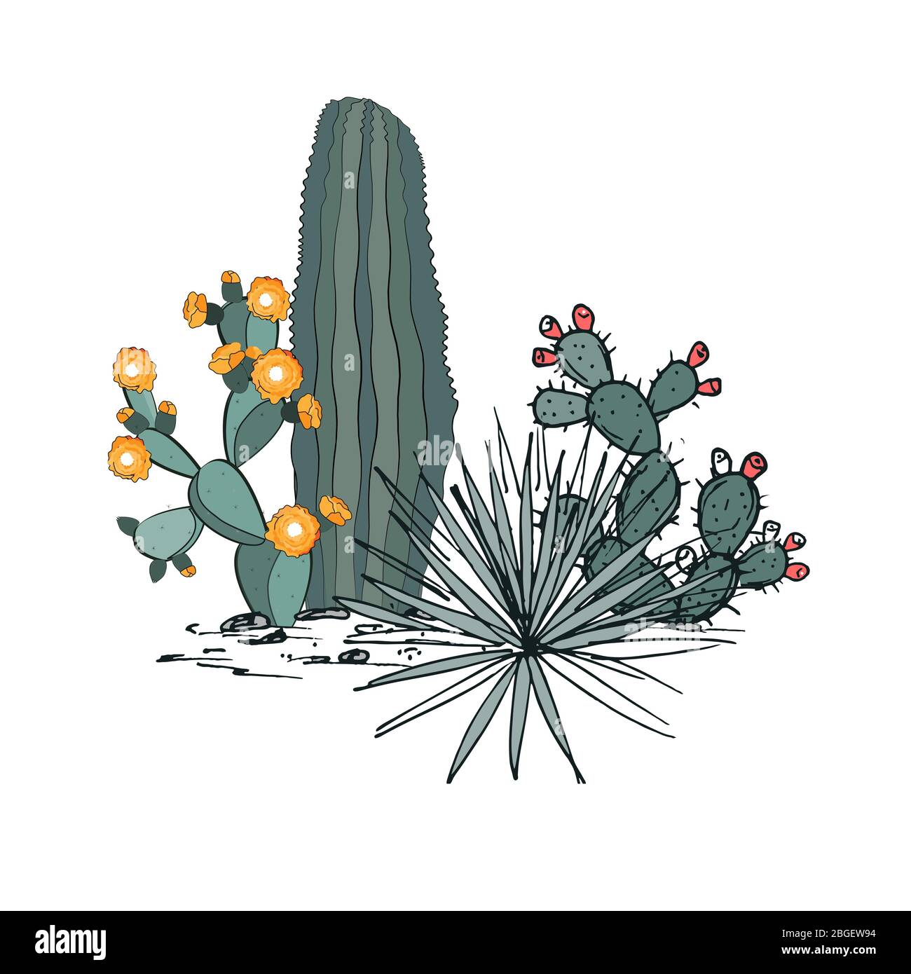 Tropical fruits composition on Stock Vector Images - Alamy