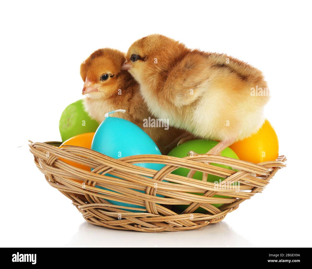 Little easter chick in basket hi-res stock photography and images - Alamy
