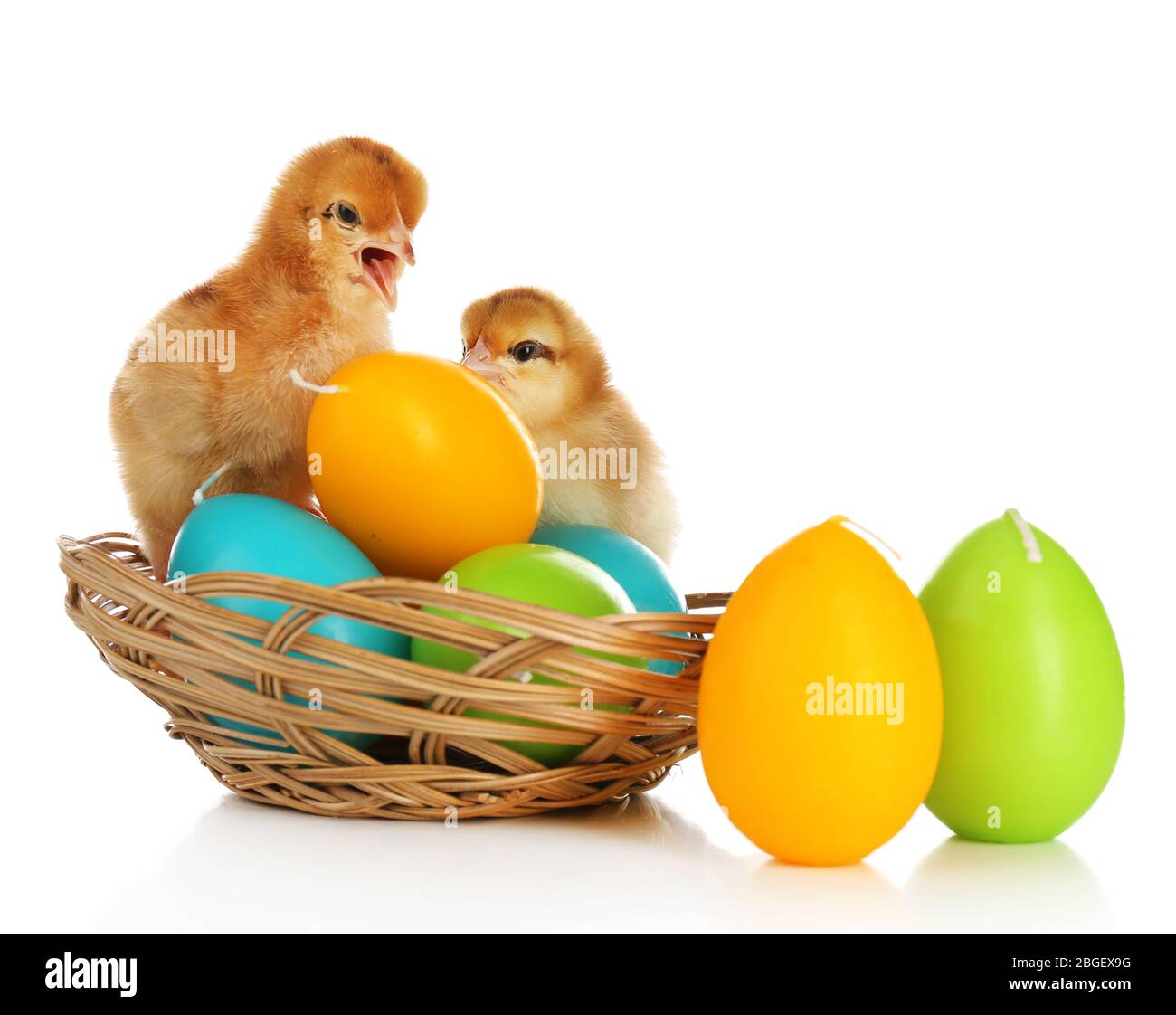 Little easter chick in basket hi-res stock photography and images - Alamy