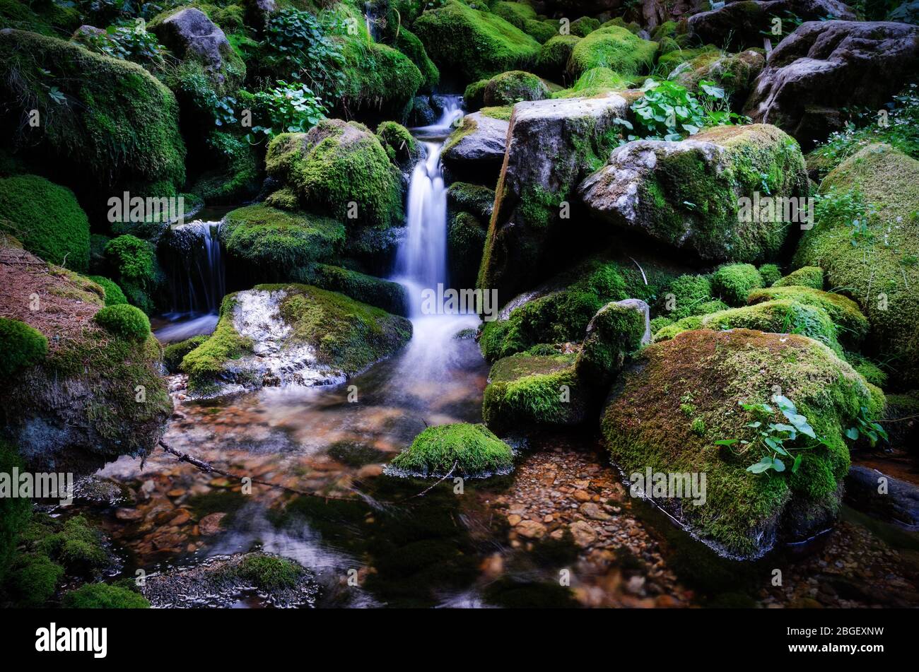 Wonderful river flow little waterfall hi-res stock photography and ...