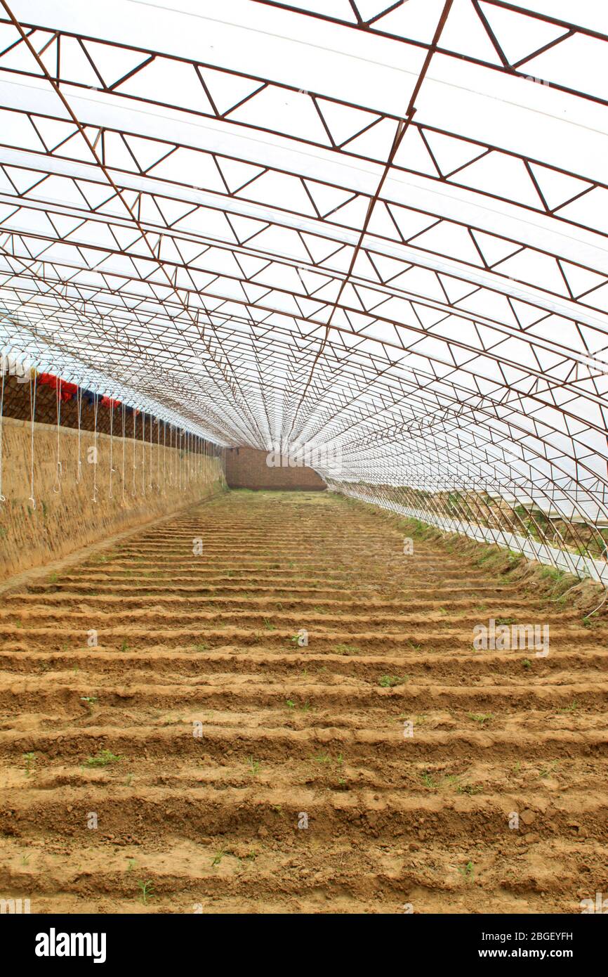 Planting in rural areas hi-res stock photography and images - Alamy