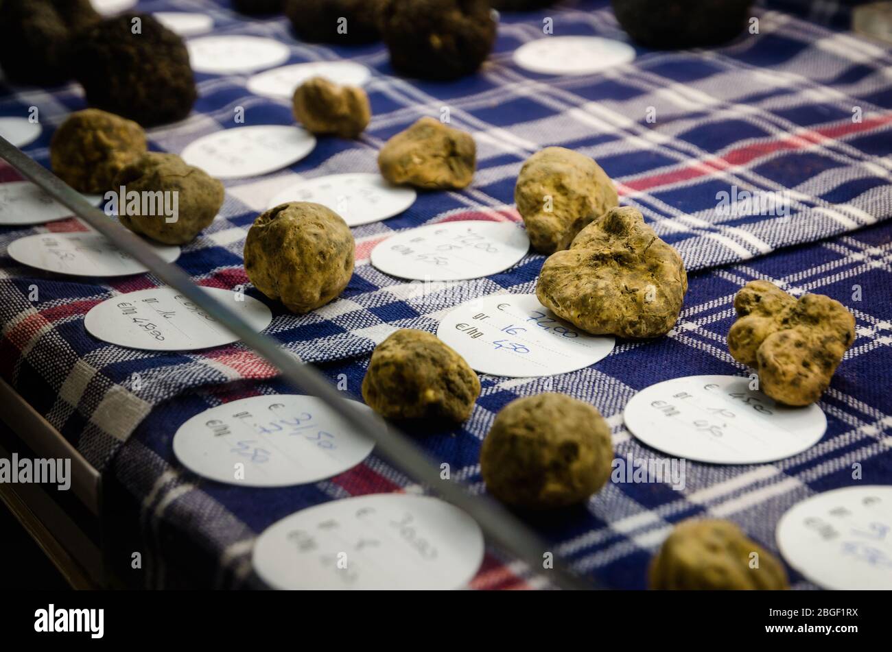 White Truffles (Tuber Magnatum Pico) and price tags on a trader stall ...