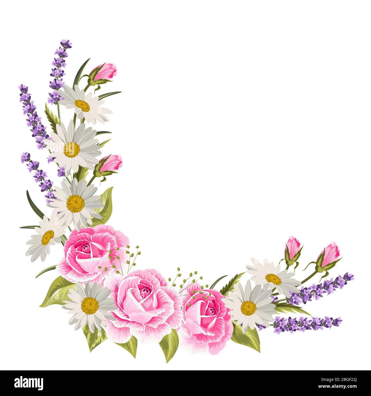 Bunch of violet roses Stock Vector Images - Alamy