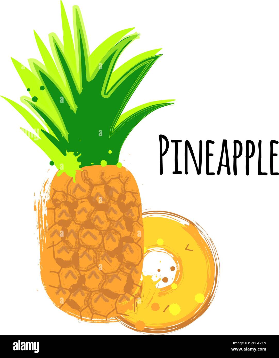 Illustration of a tropical fruit pineapple isolated on white background ...