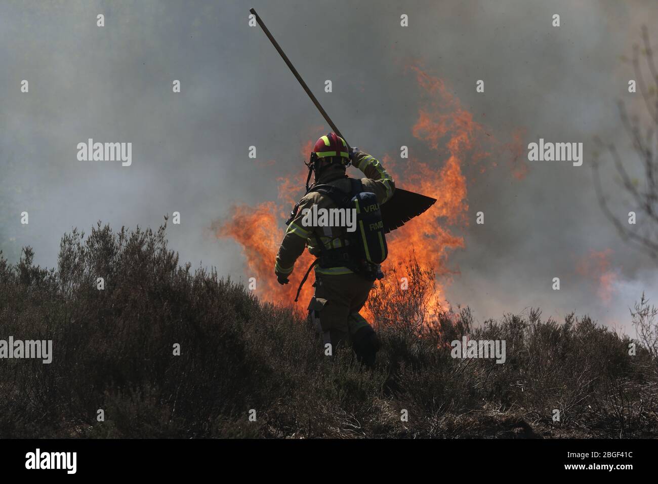 Herkenbosch, Netherlands. 21st Apr, 2020. A fireman is fighting flames ...