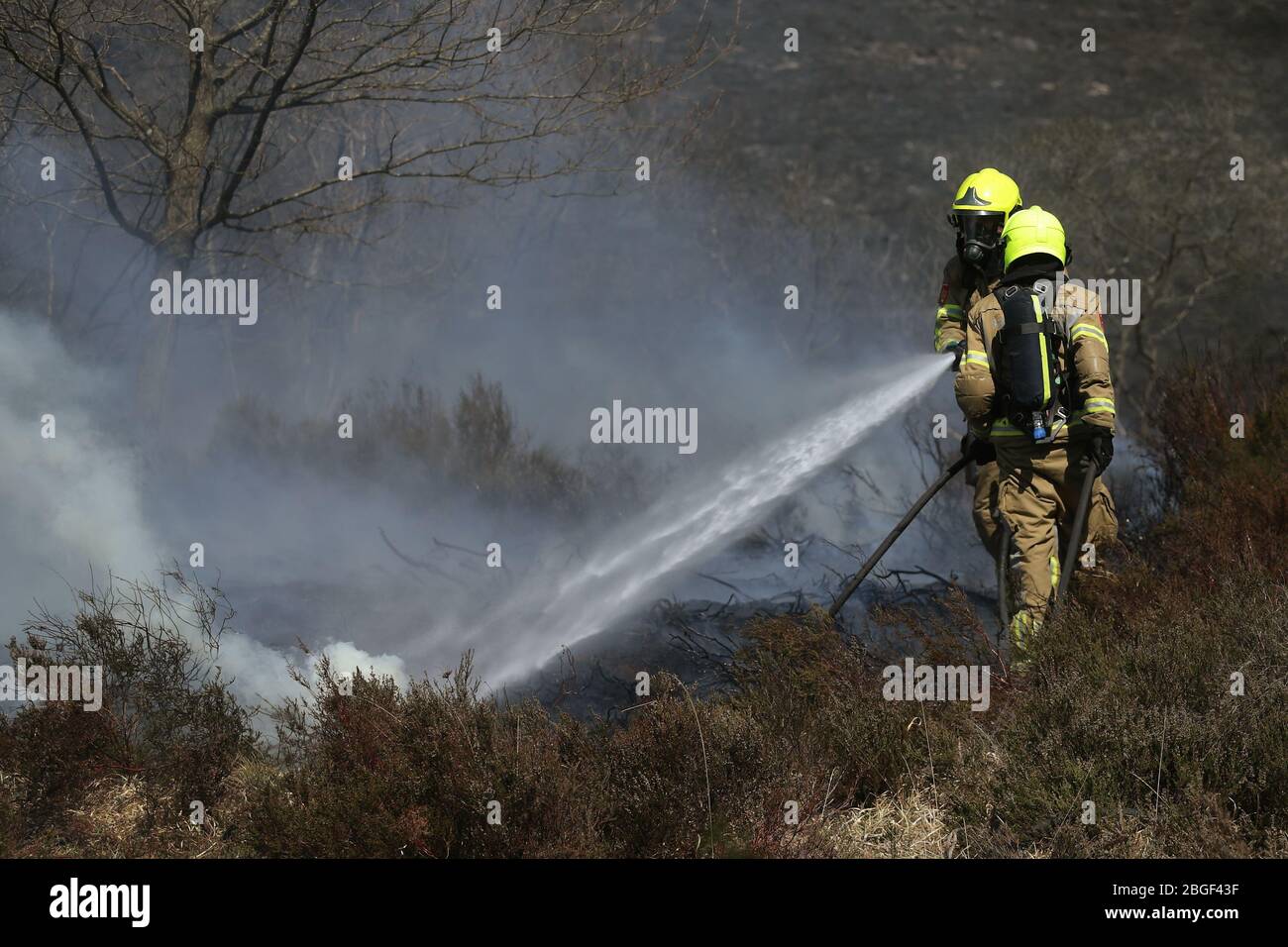 Herkenbosch, Netherlands. 21st Apr, 2020. Firefighters put out a forest ...