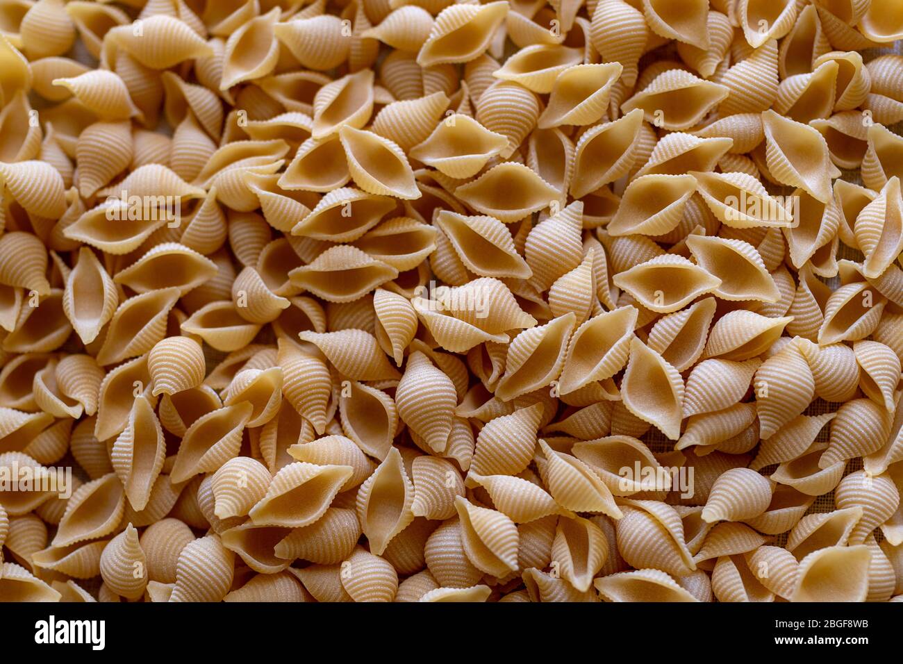 Dried Italian pasta, Conchiglie pasta closeup Stock Photo - Alamy