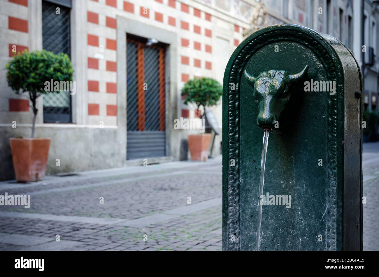 Pig fountain hi-res stock photography and images - Alamy