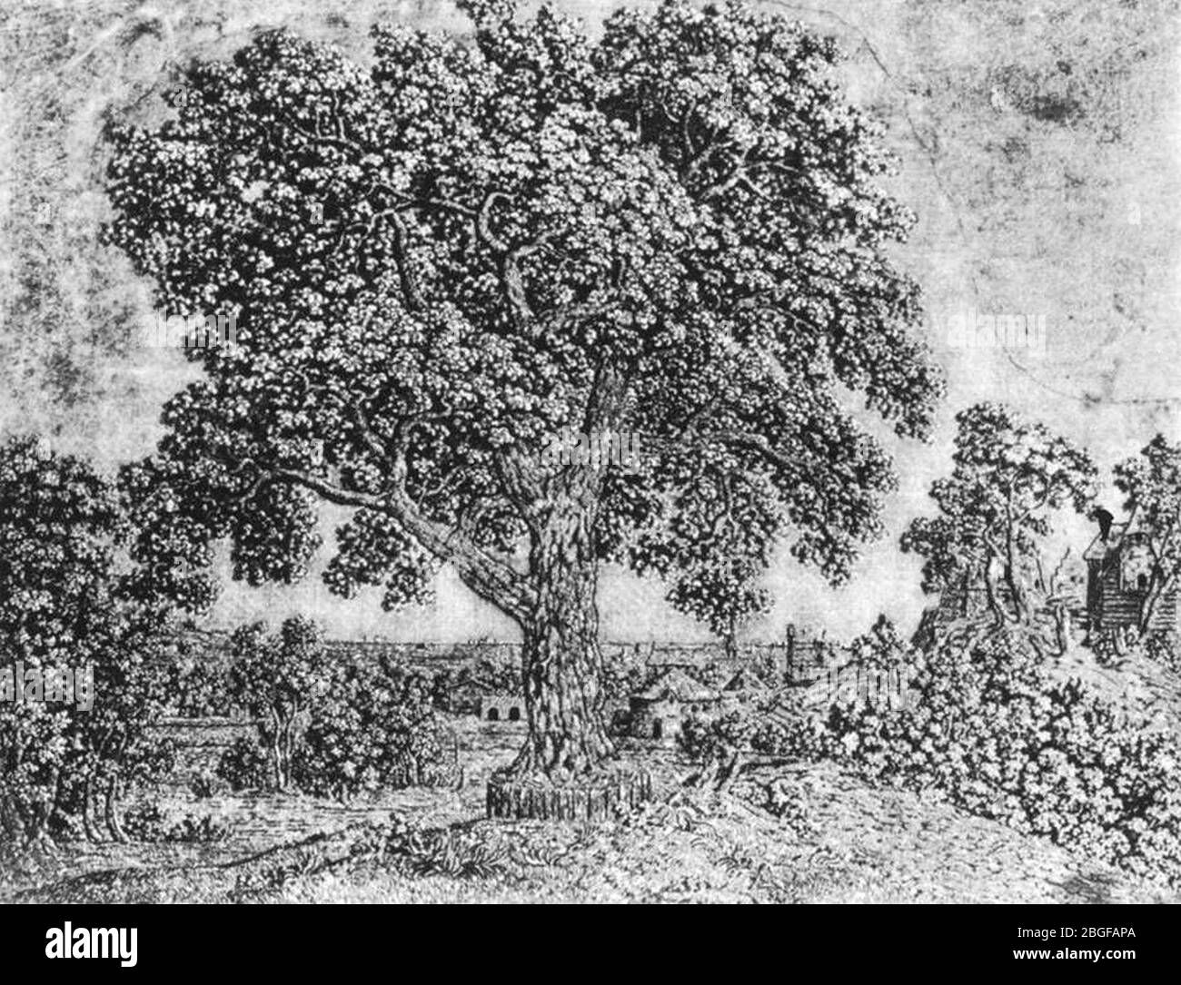 Hercules Seghers - The Great Tree Stock Photo - Alamy