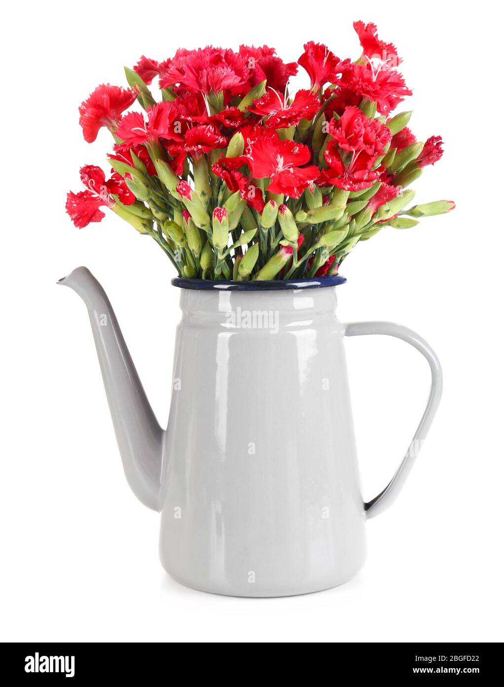 Teapot flowerpot hi-res stock photography and images - Alamy