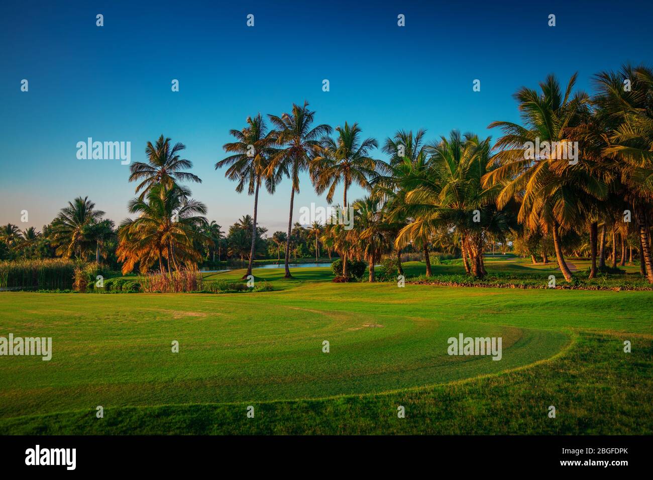 Golf course in the tropical island Stock Photo - Alamy