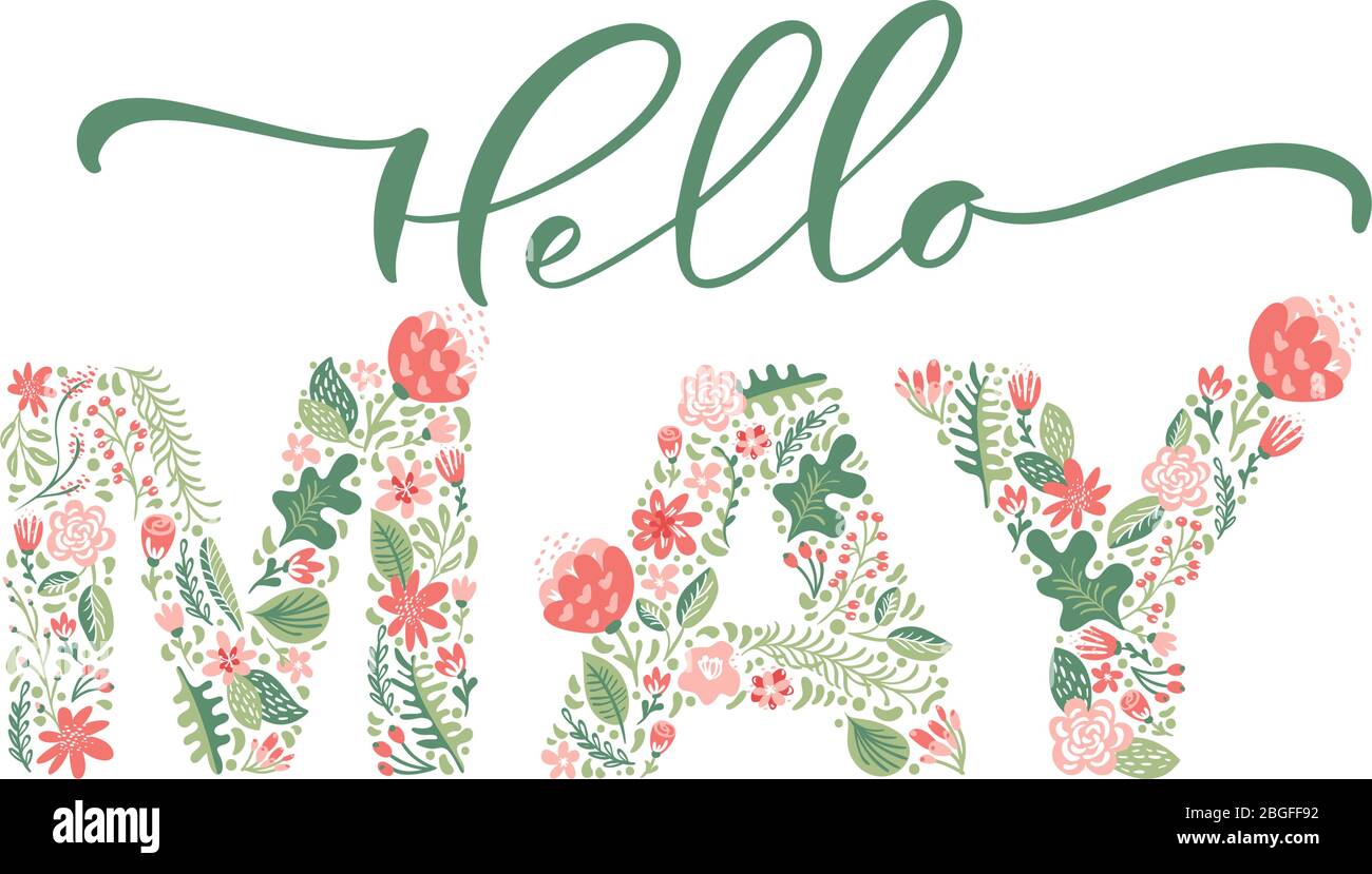 Hello May handwritten calligraphy lettering text. Spring month vector ...