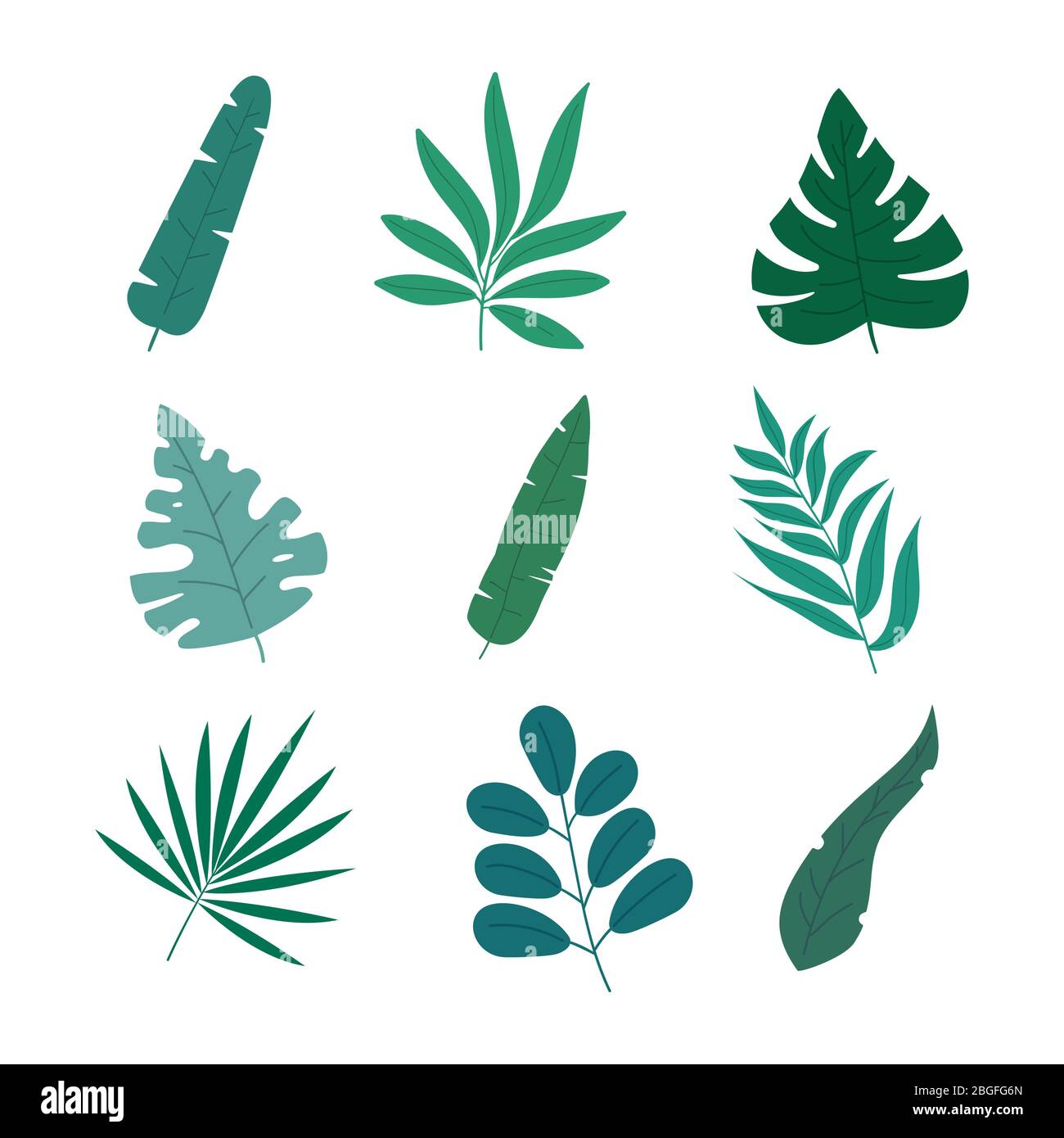 Set of 9 different leaves in modern colored flat style, isolated on ...