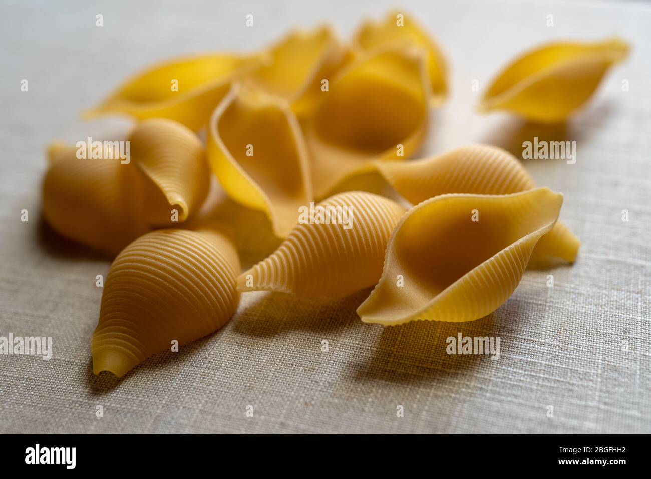 Close up conchiglie pasta hi-res stock photography and images - Alamy