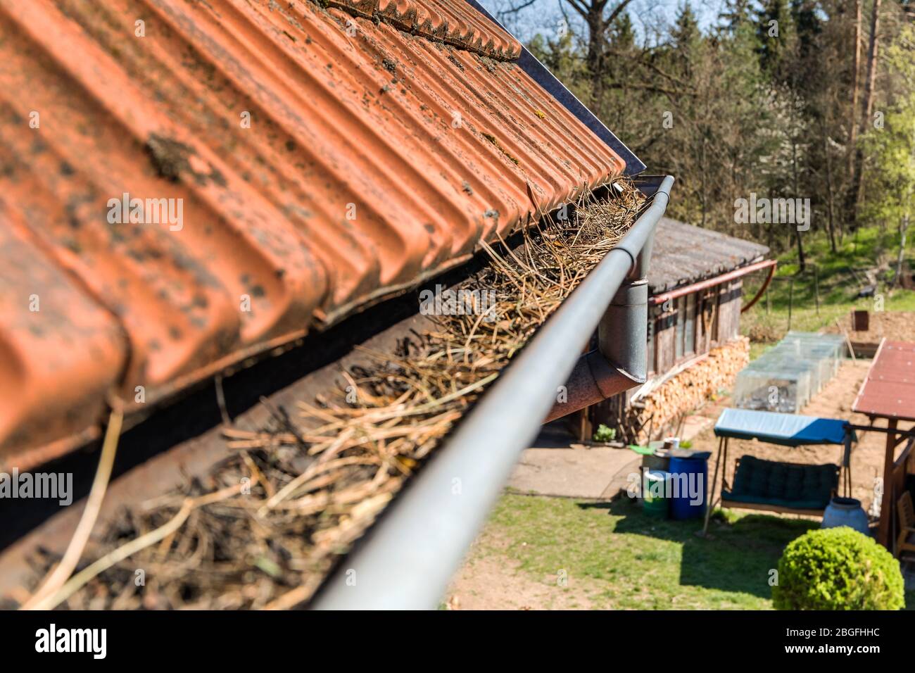 Gutters full of debris needing to be cleaned. Roof gutter clogged with ...