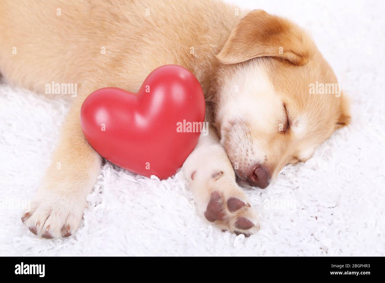 Red heart beast hi-res stock photography and images - Alamy
