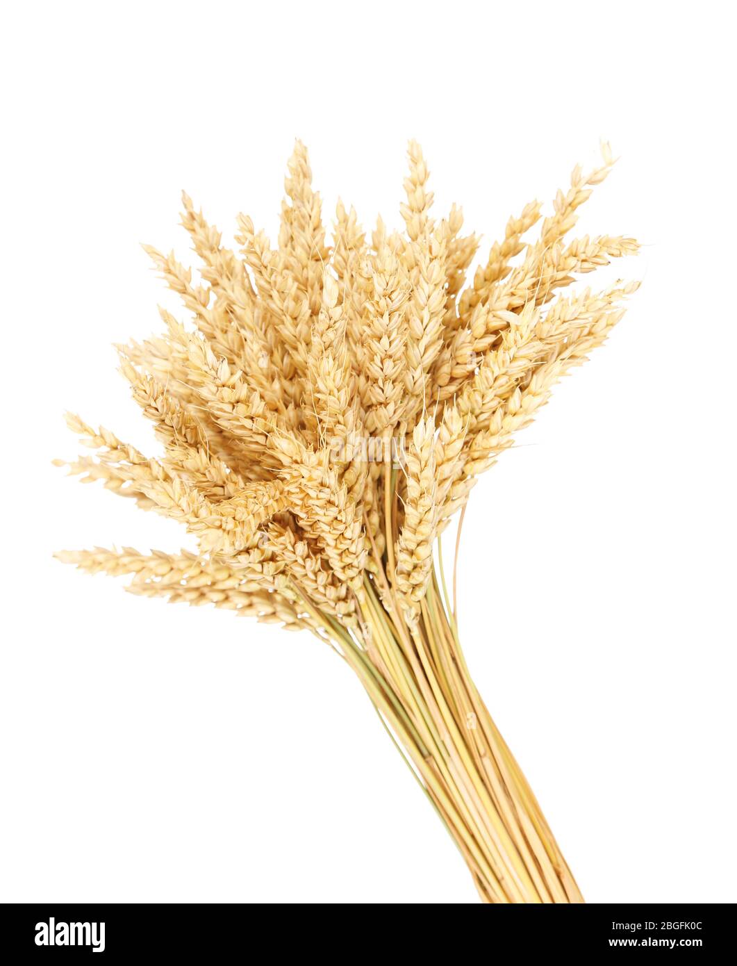 Sheaf of wheat isolated on white Stock Photo - Alamy