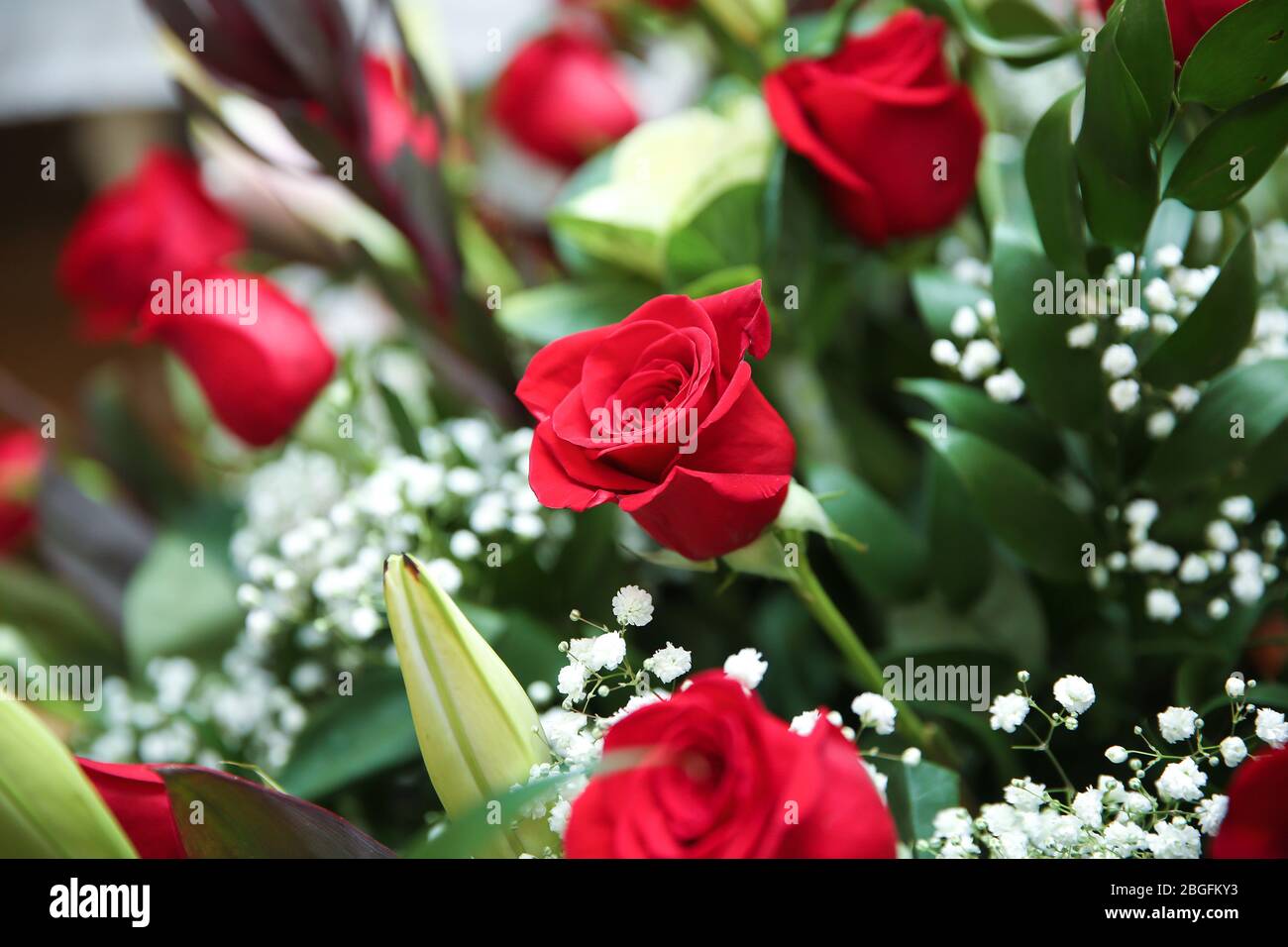 Red roses on the floor. Made for birthday . Big Beautiful red roses ...