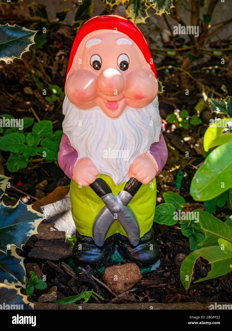 Gnome Face High Resolution Stock Photography and Images - Alamy