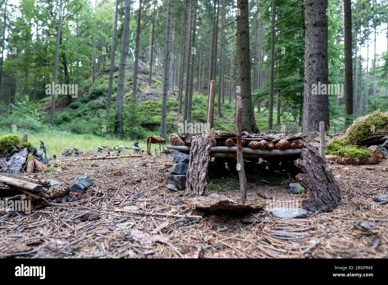 in the forest, bohemian switzerland, nature, outdoor Stock Photo - Alamy