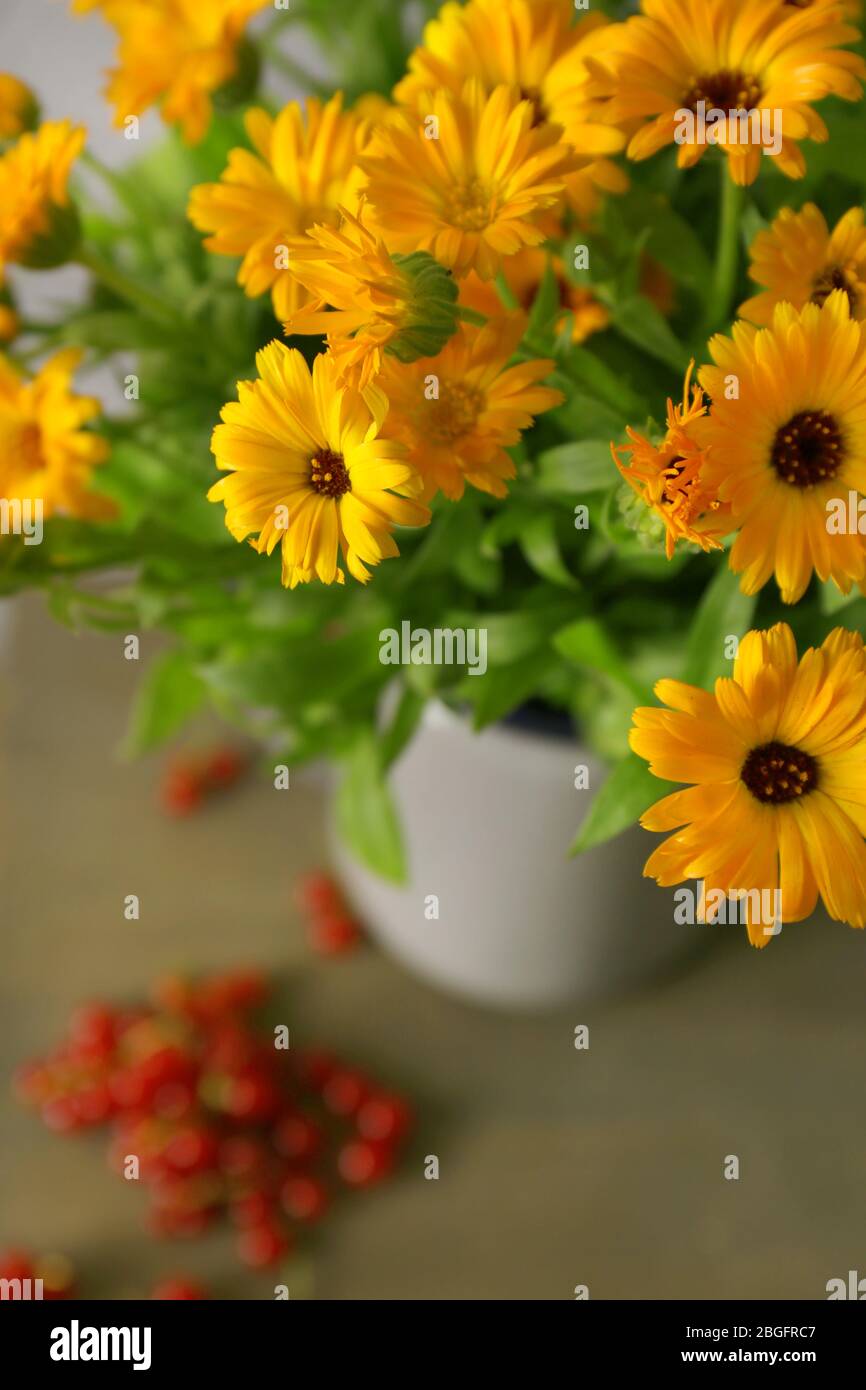 Beautiful flowers in home interior Stock Photo - Alamy